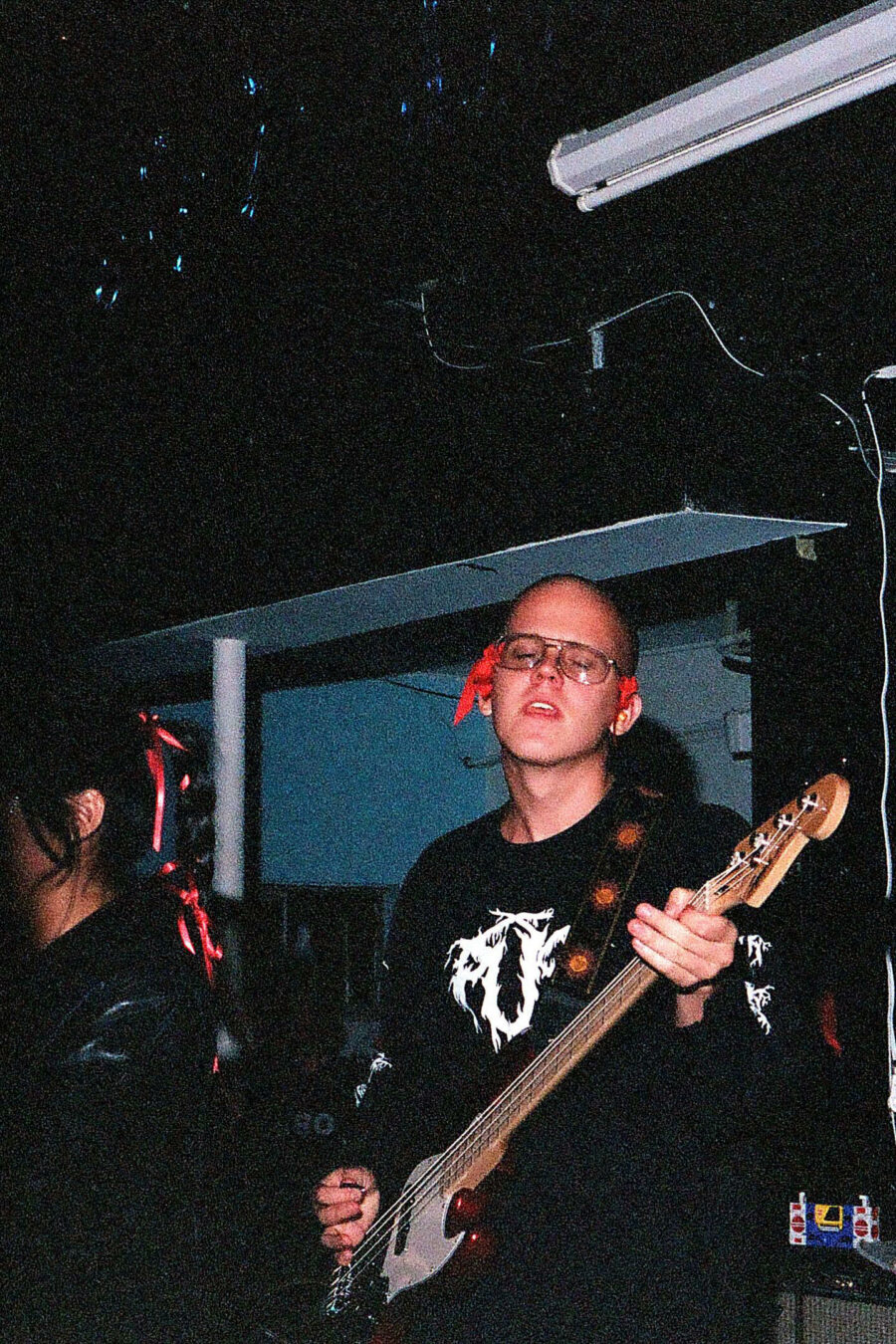 UnBeeLievable Bugadelic Rock: Interview With Doolittle Ladybug ...