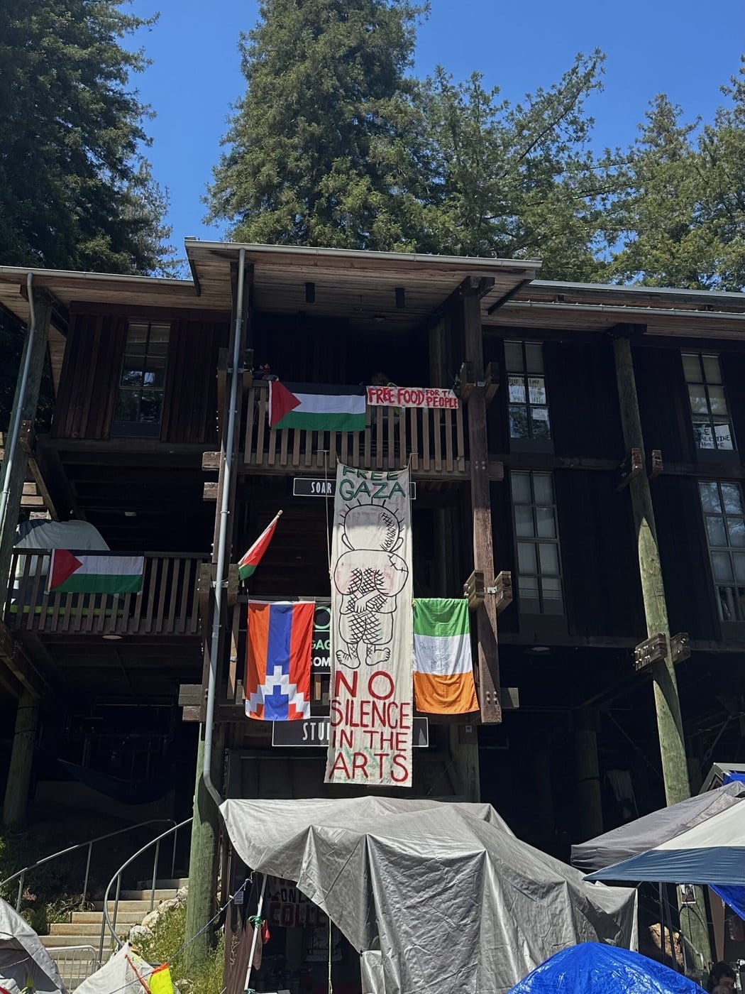 UCSC Students For Justice In Palestine: The Encampment And Their ...