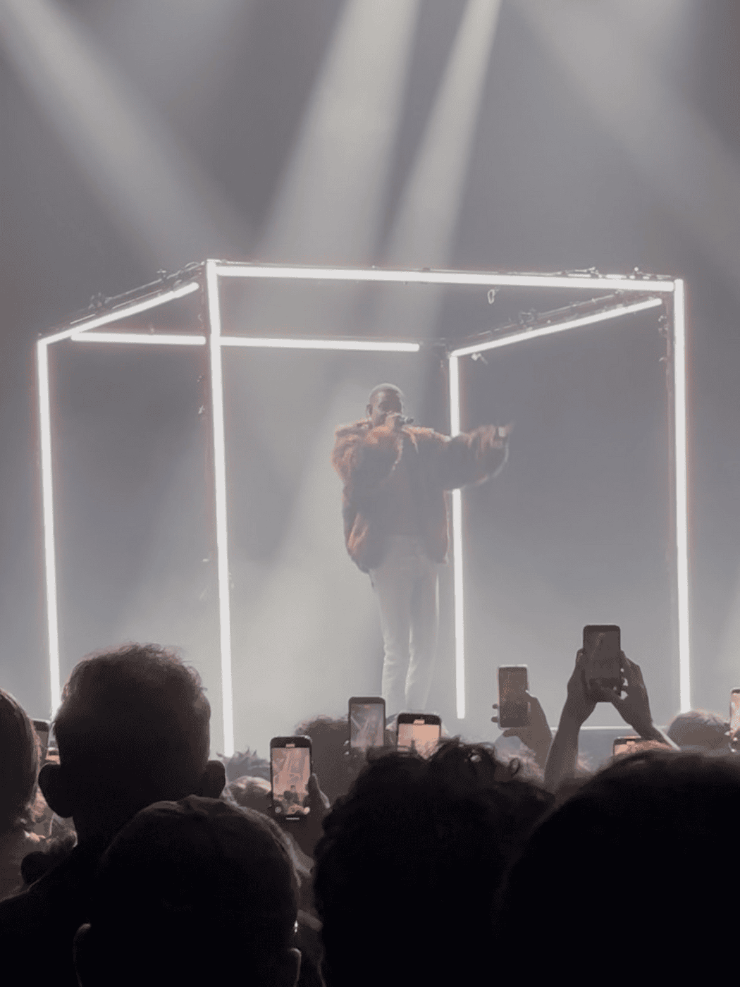 Danny Brown In A Big Cube At The Regency Ballroom - Concert Reviews ...